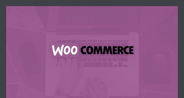 How To Get Custom Product Attributes In WooCommerce - WP Davies How To Get Custom Product Attributes In WooCommerce - WP Davies